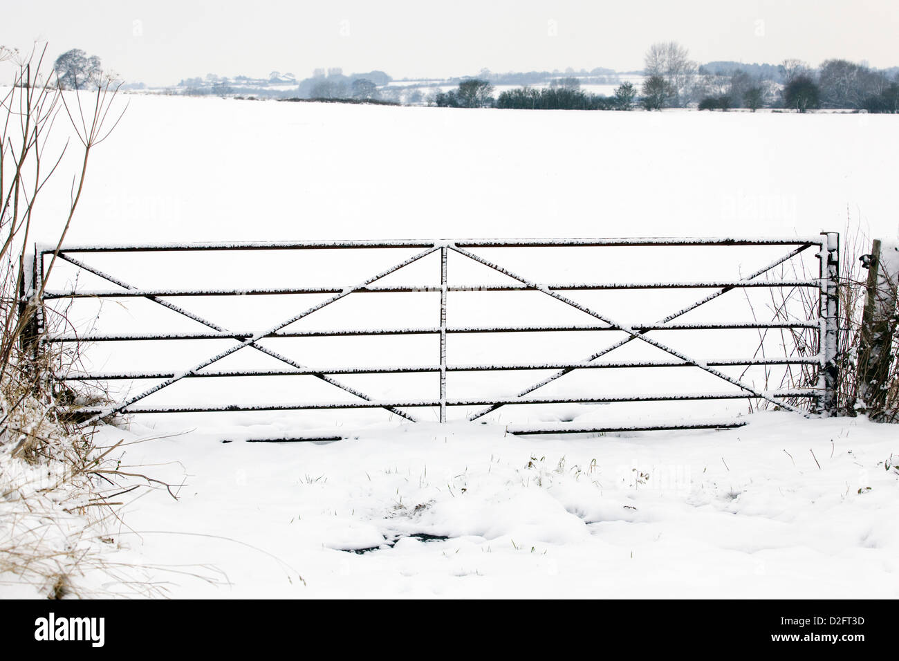 Metal five bar gate hi-res stock photography and images - Alamy