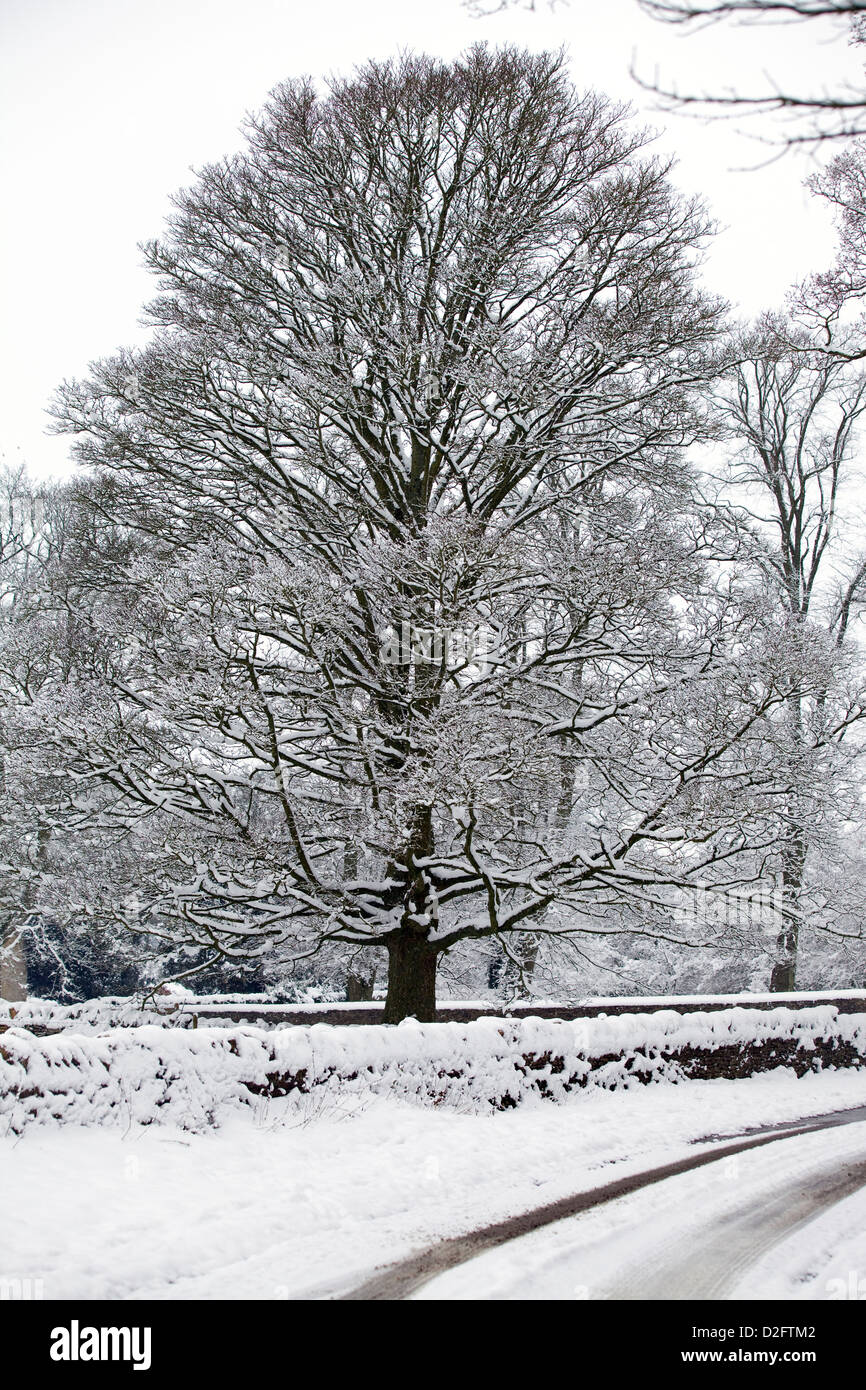 snow covered Country road Stock Photo - Alamy