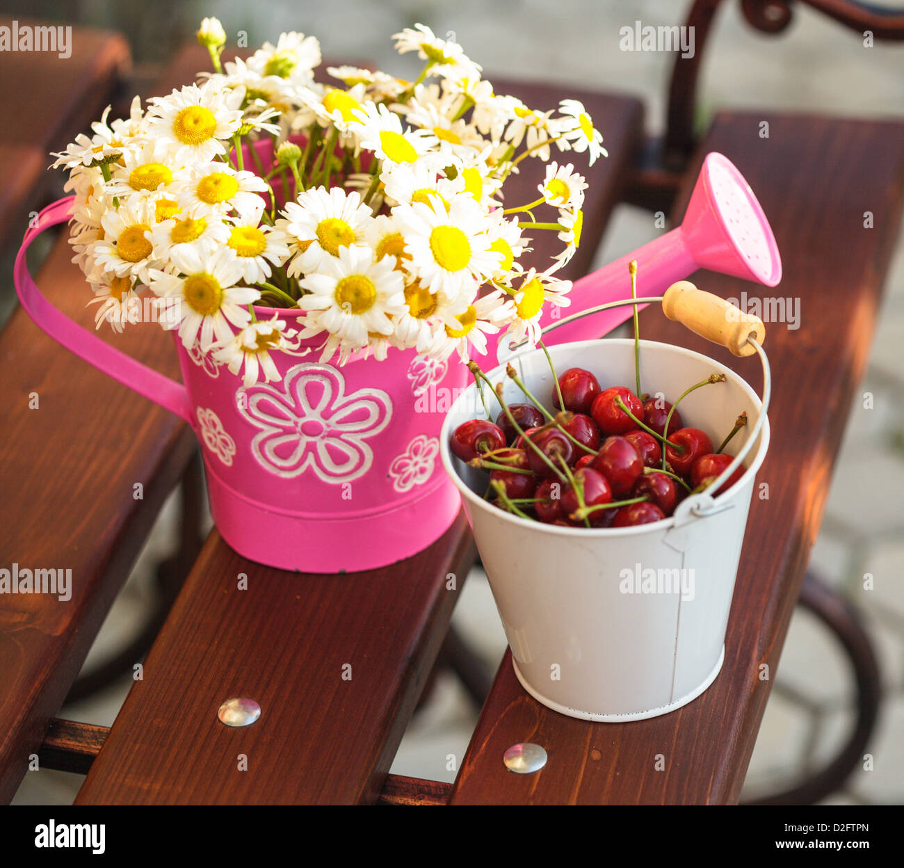 Ripe cherries close up on the branch outdoor Stock Photo - Alamy