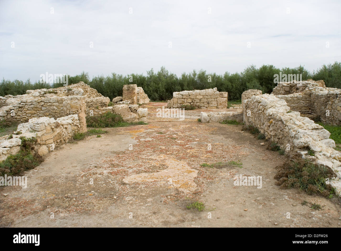 Mosaics at the Punic settlement of Kerkouane on the Cap Bon peninsula ...