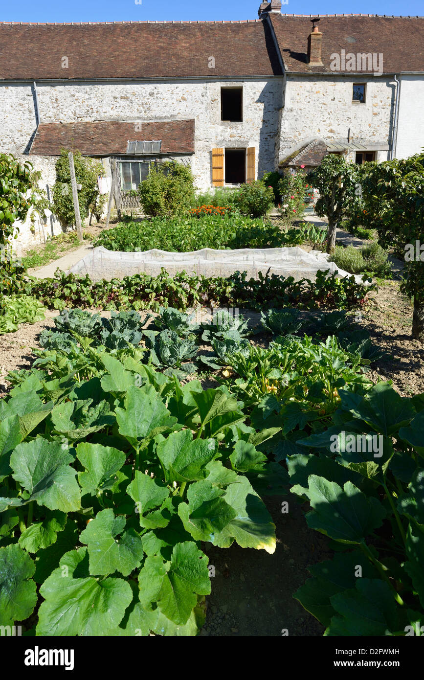 Vegetable garden in summer at old typical countryside house, Seine-et ...