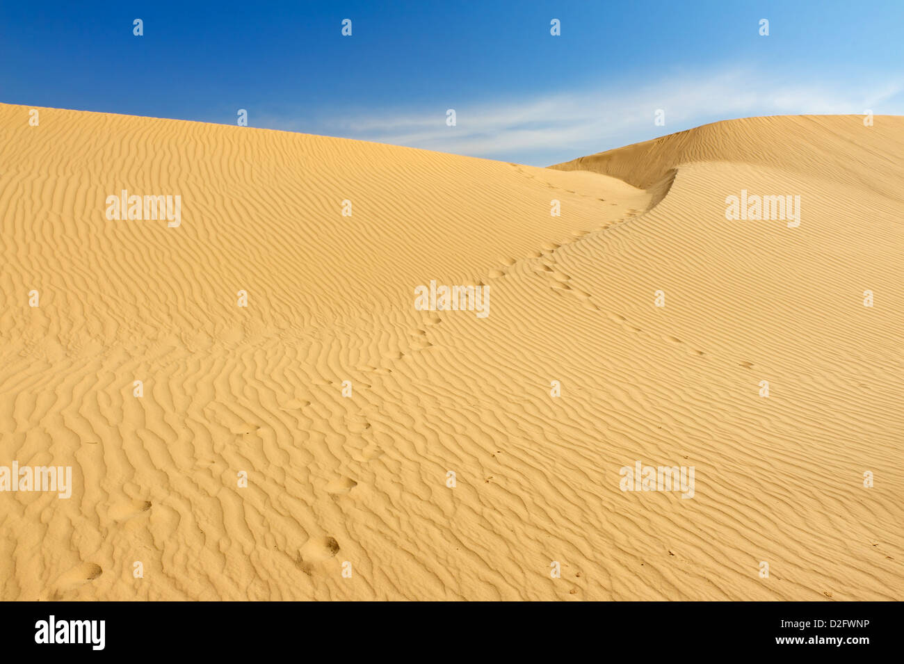 Tunisia sahara desert rippled sand hi-res stock photography and images ...
