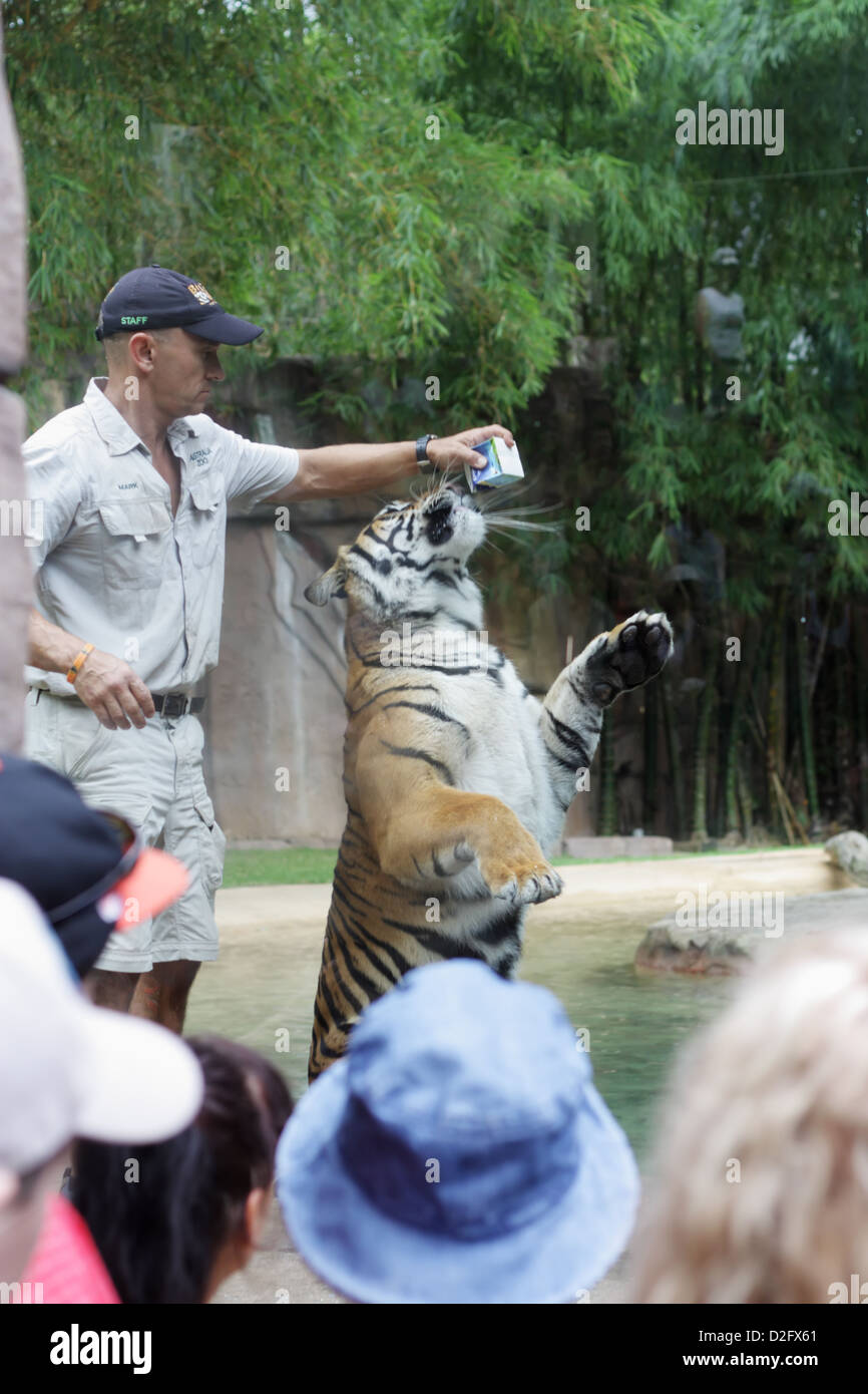 Zoo keeper hi-res stock photography and images - Alamy
