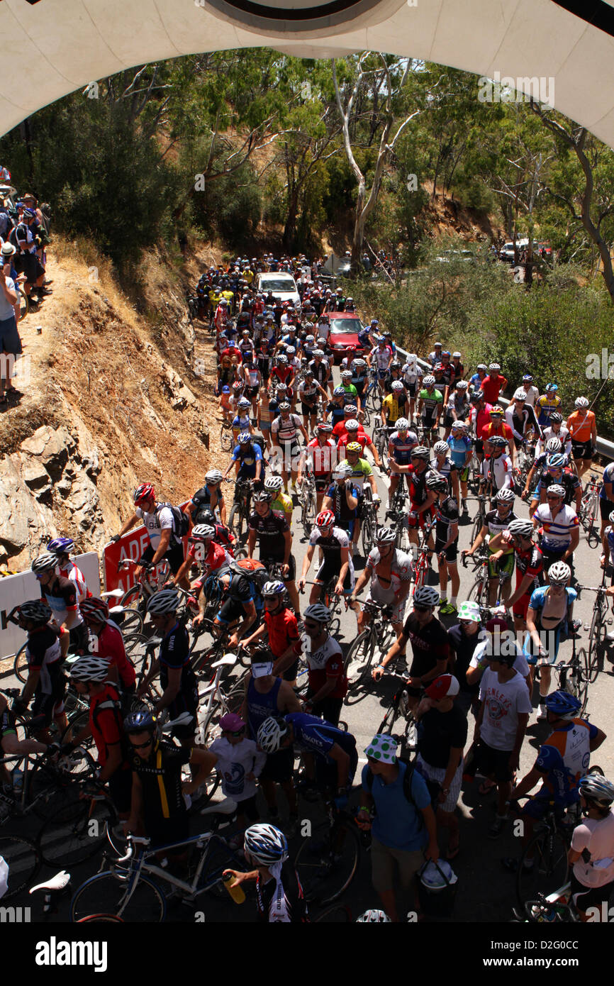 Australia. 23rd Jan, 2013. Huge crowd of amatuer cyclists make their ...