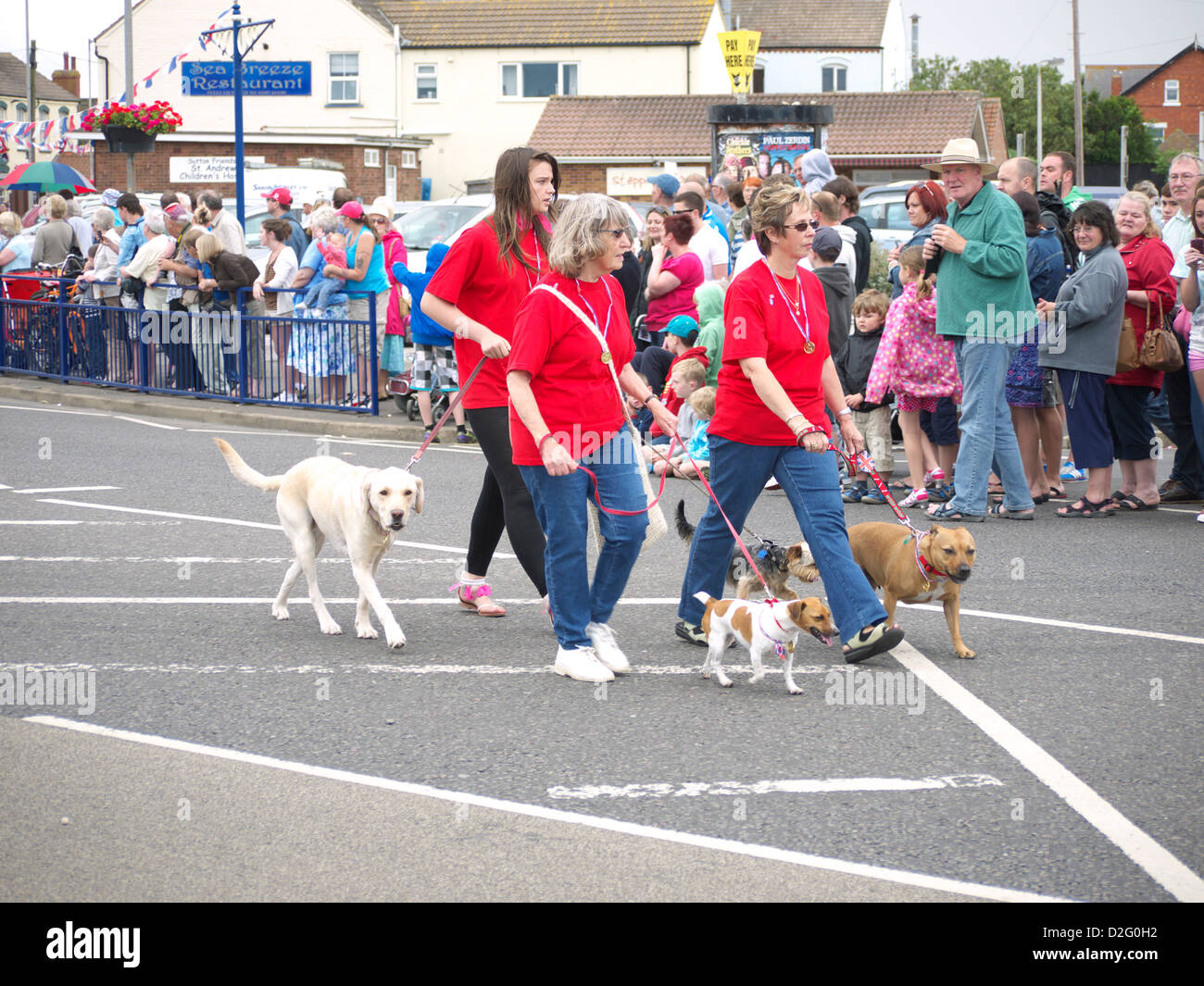 What Is A Dog Club at Cameron Malone blog