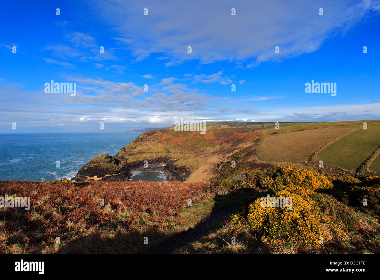 Summer Coastal shoreline, Boscastle Bay, Boscastle village, Cornwall ...