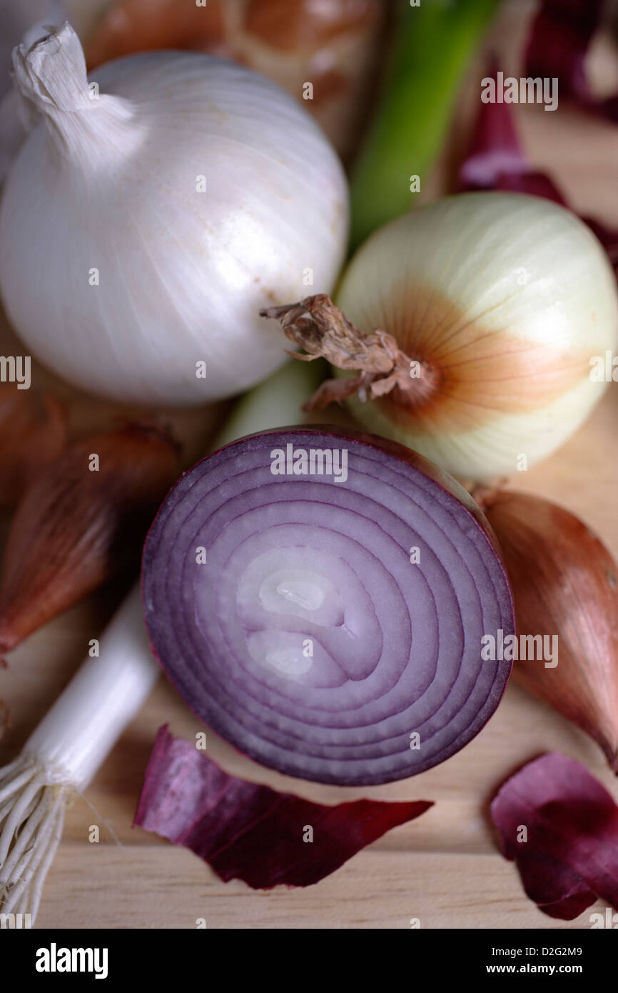Red common onion allium hi-res stock photography and images - Alamy