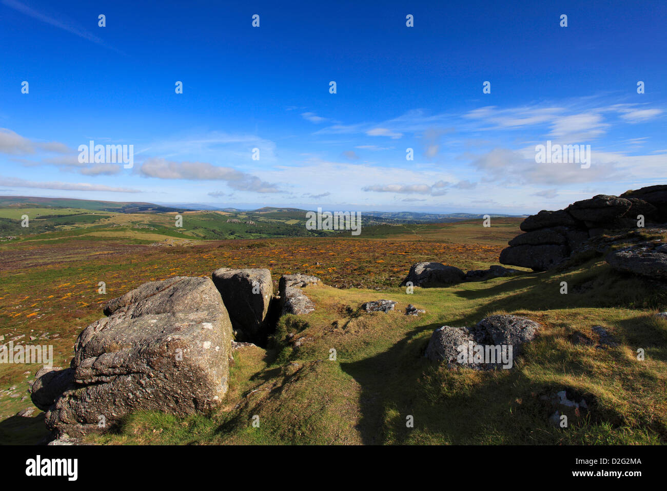 Summer, Haytor Down, Haytor Rocks, Dartmoor National Park, Devon County ...