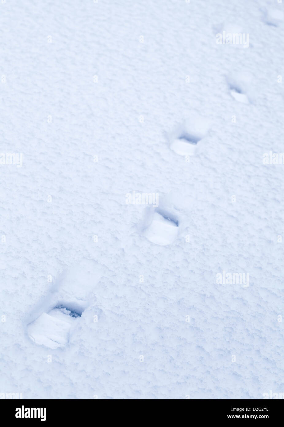 Footprints in soft snow hi-res stock photography and images - Alamy