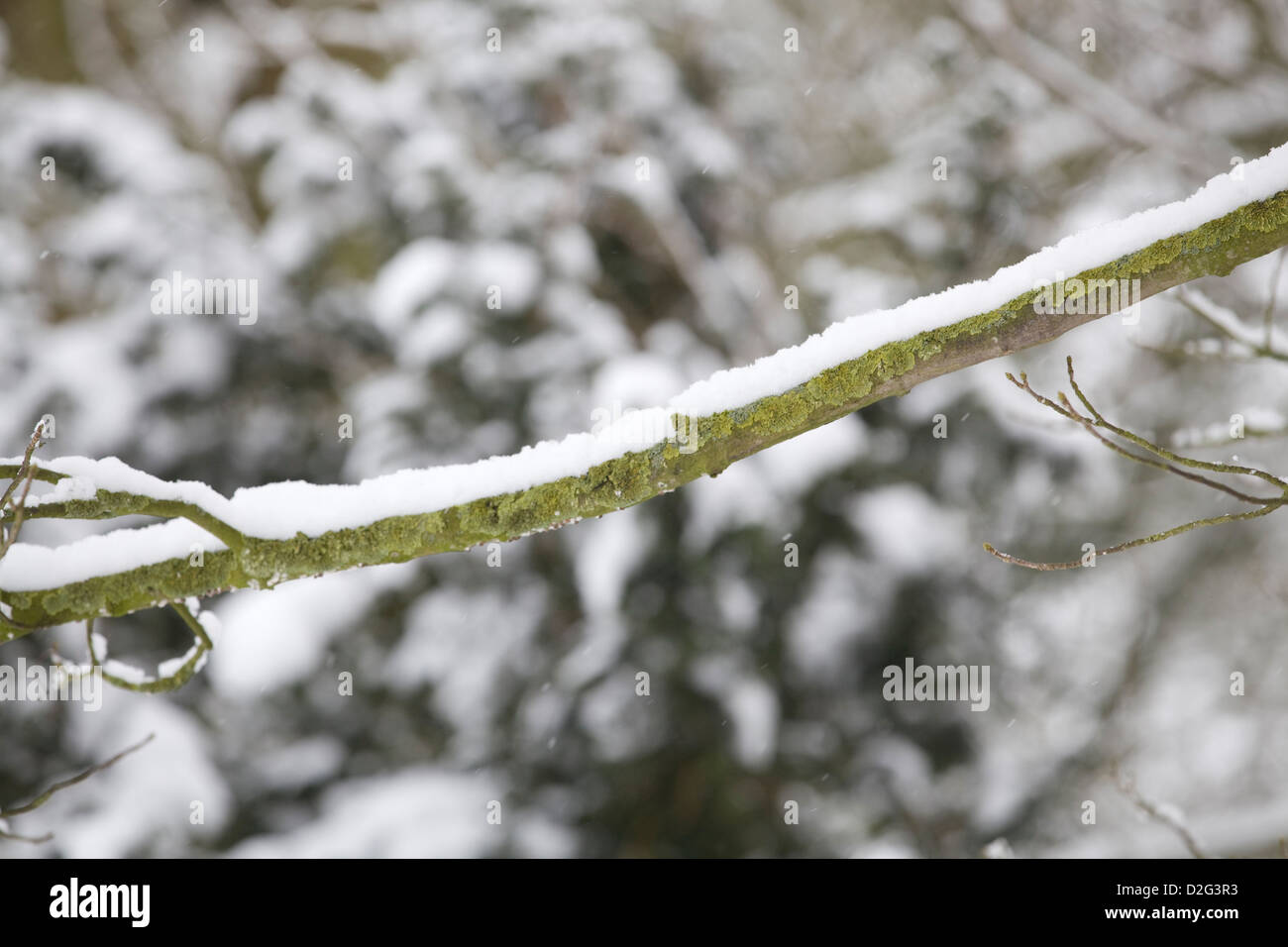 Granular snow hi-res stock photography and images - Alamy