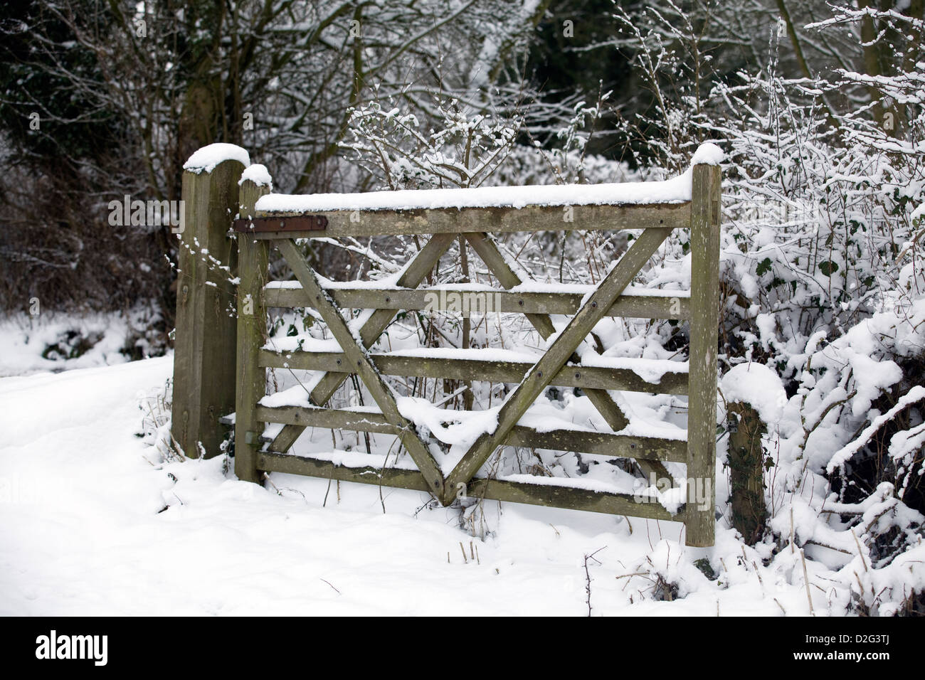 Wooden Five bar gate in the snow on a winters morning British ...