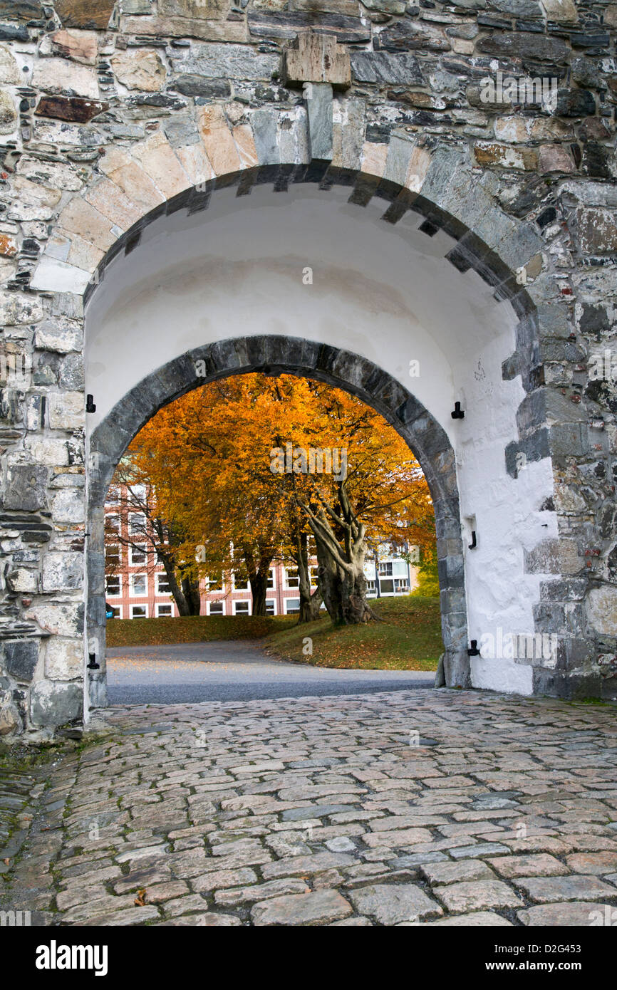 The city of Bergen, Norway in enlighten by the colors of autumn Stock ...
