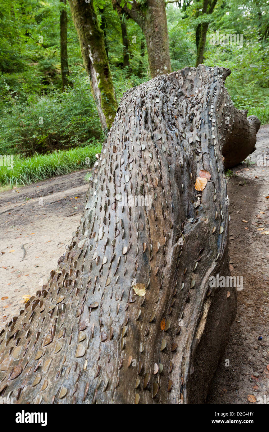 Money tree, copper coins embedded in a tree in woodland for good luck ...