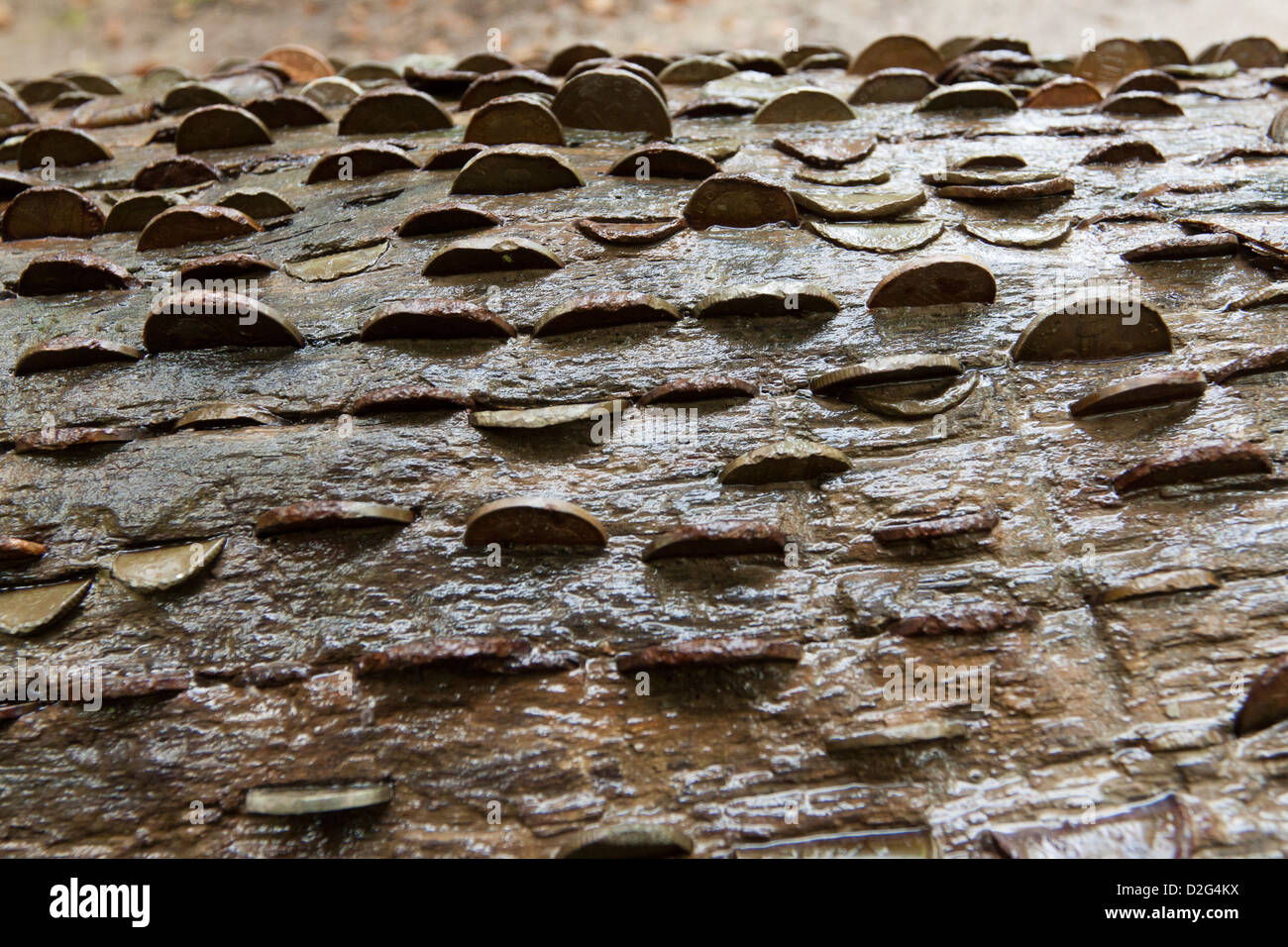 Hammered coins hi-res stock photography and images - Alamy