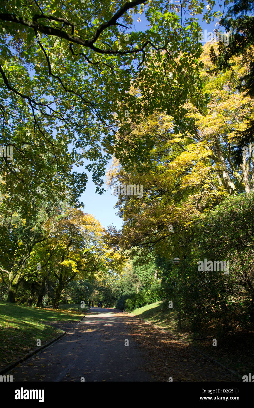 Bergen autumn hi-res stock photography and images - Alamy