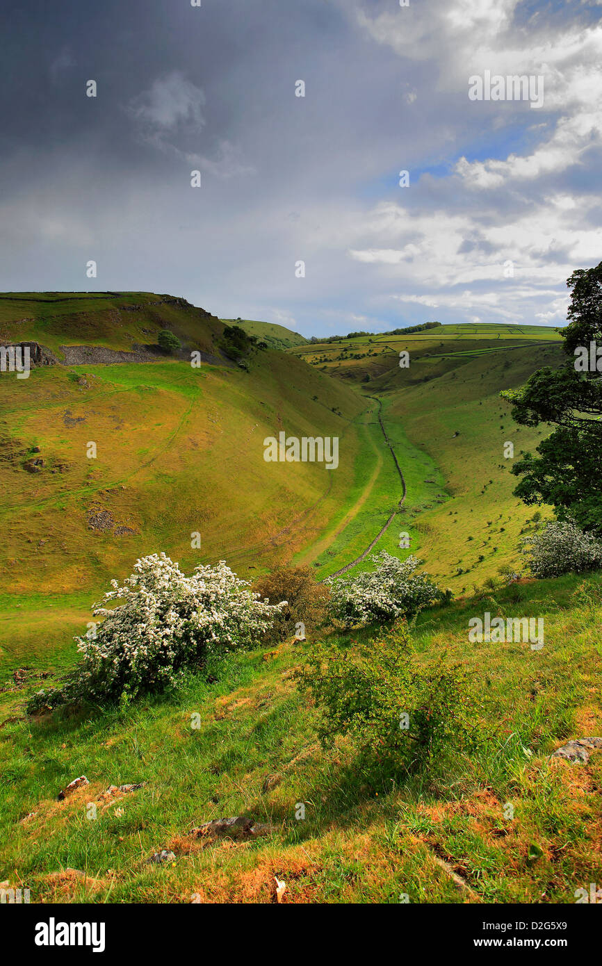 Summer view through Tansley Dale near Litton village, Peak District ...