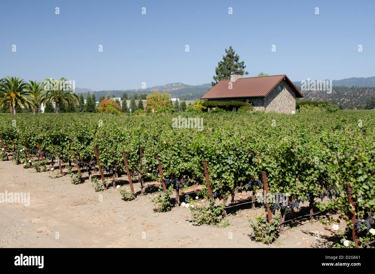 California, Heitz Cellar Winery. View from the Napa Valley Wine Train ...