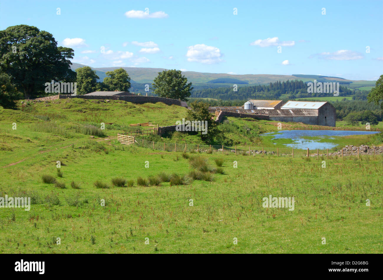 Farm yard pond hi-res stock photography and images - Alamy