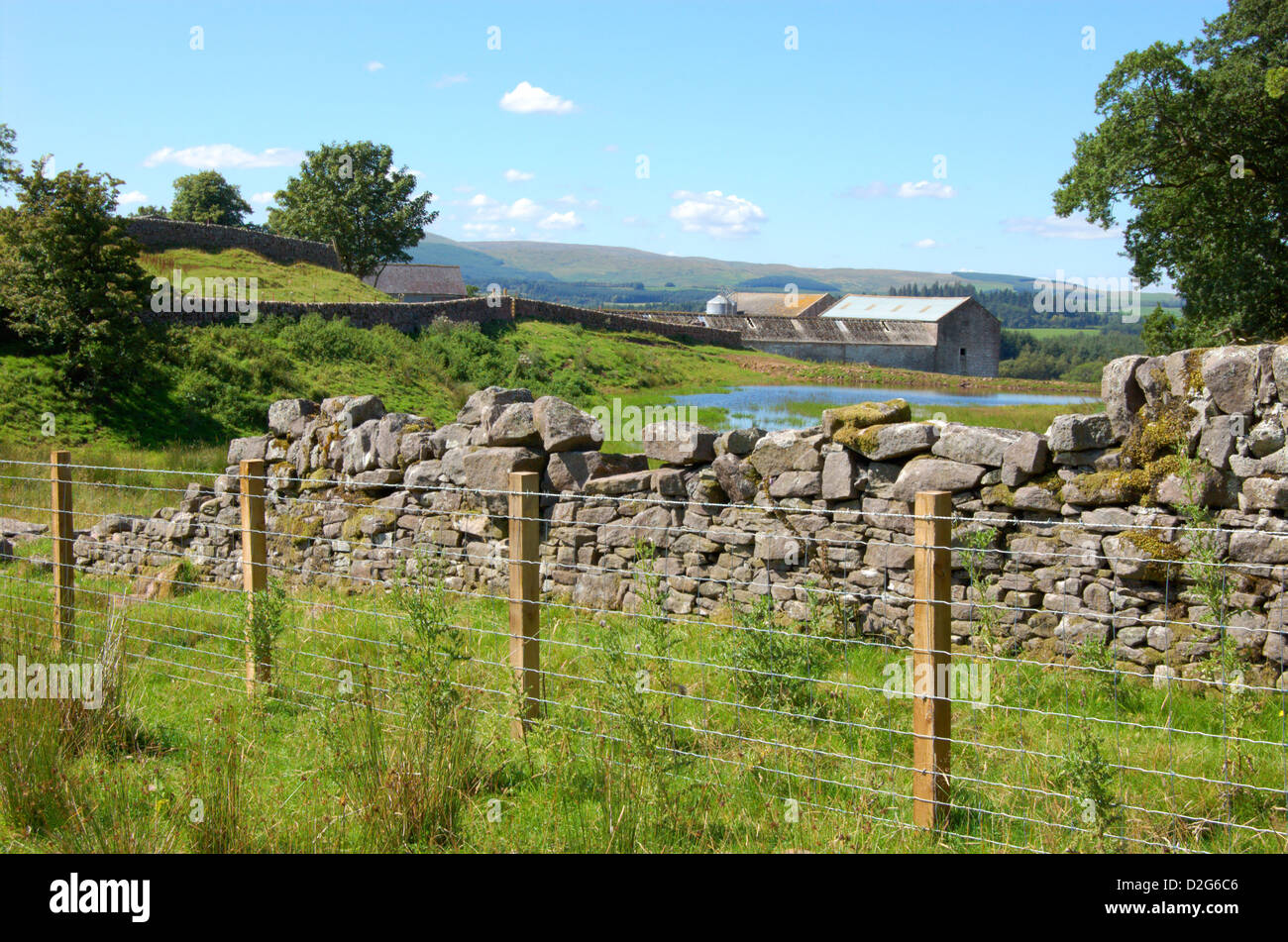Farm yard pond hi-res stock photography and images - Alamy