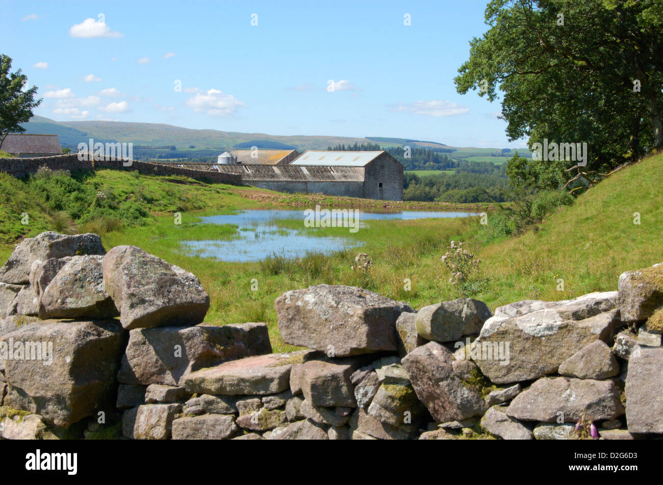 Farm yard pond hi-res stock photography and images - Alamy