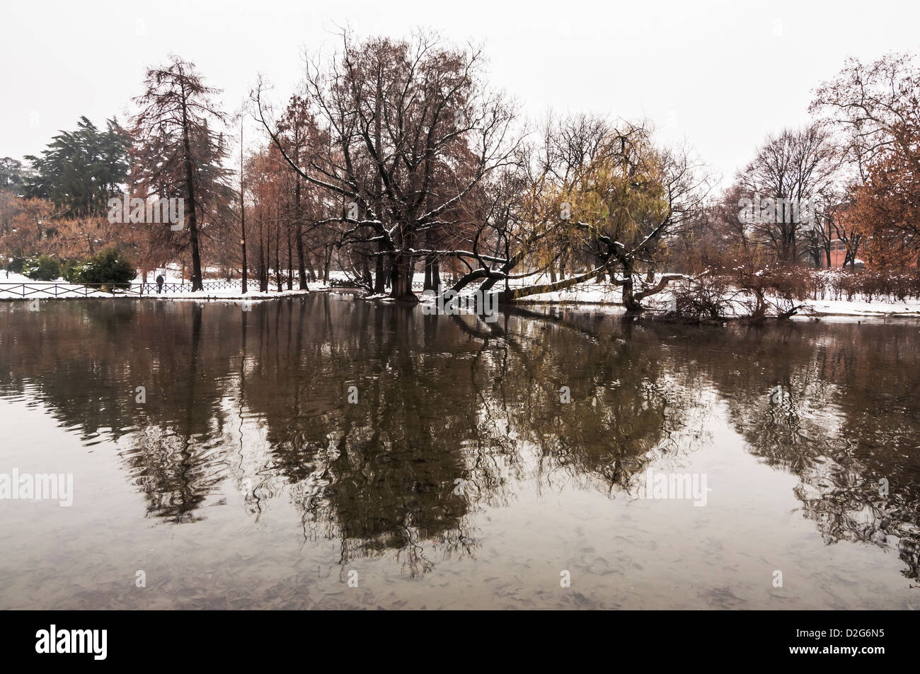 nature and trees in Sempione Park in Milan, Italy Stock Photo - Alamy