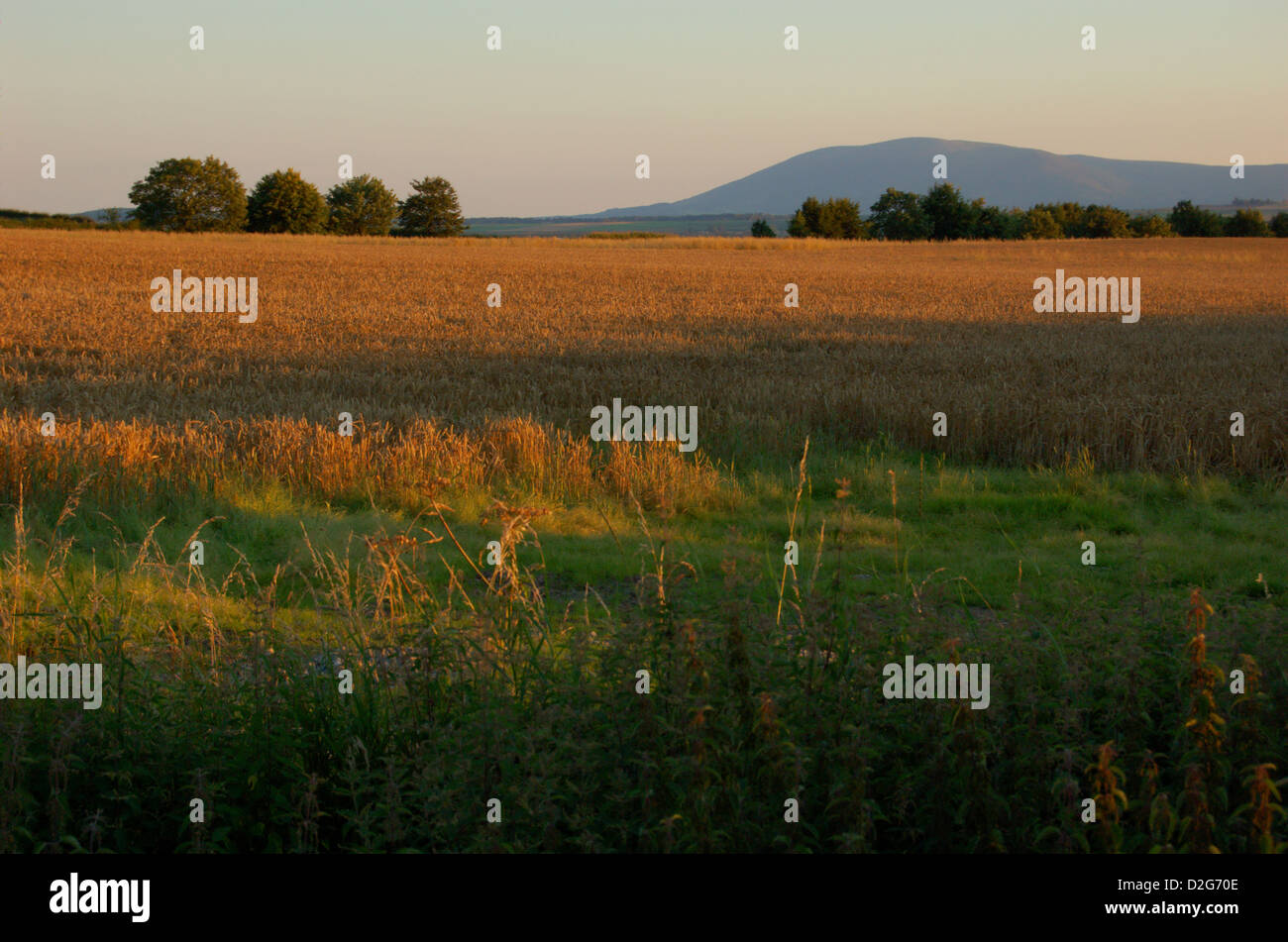 Criffel hill hi-res stock photography and images - Alamy