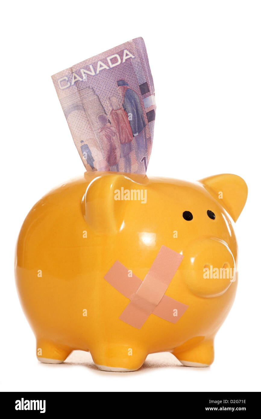 Canadian dollars in a piggy bank studio cutout Stock Photo - Alamy
