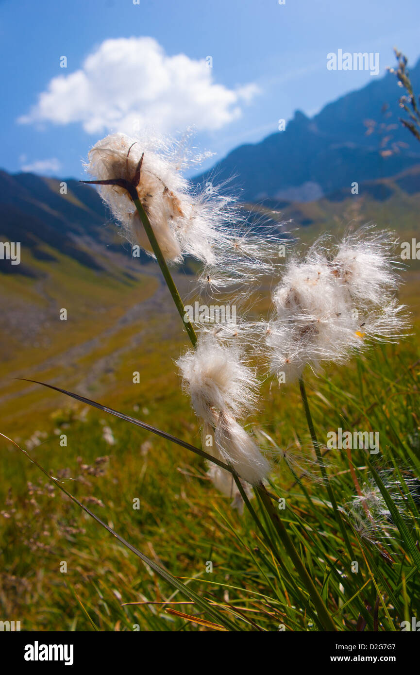 refuge bonetti,val d'aoste,italy Stock Photo - Alamy