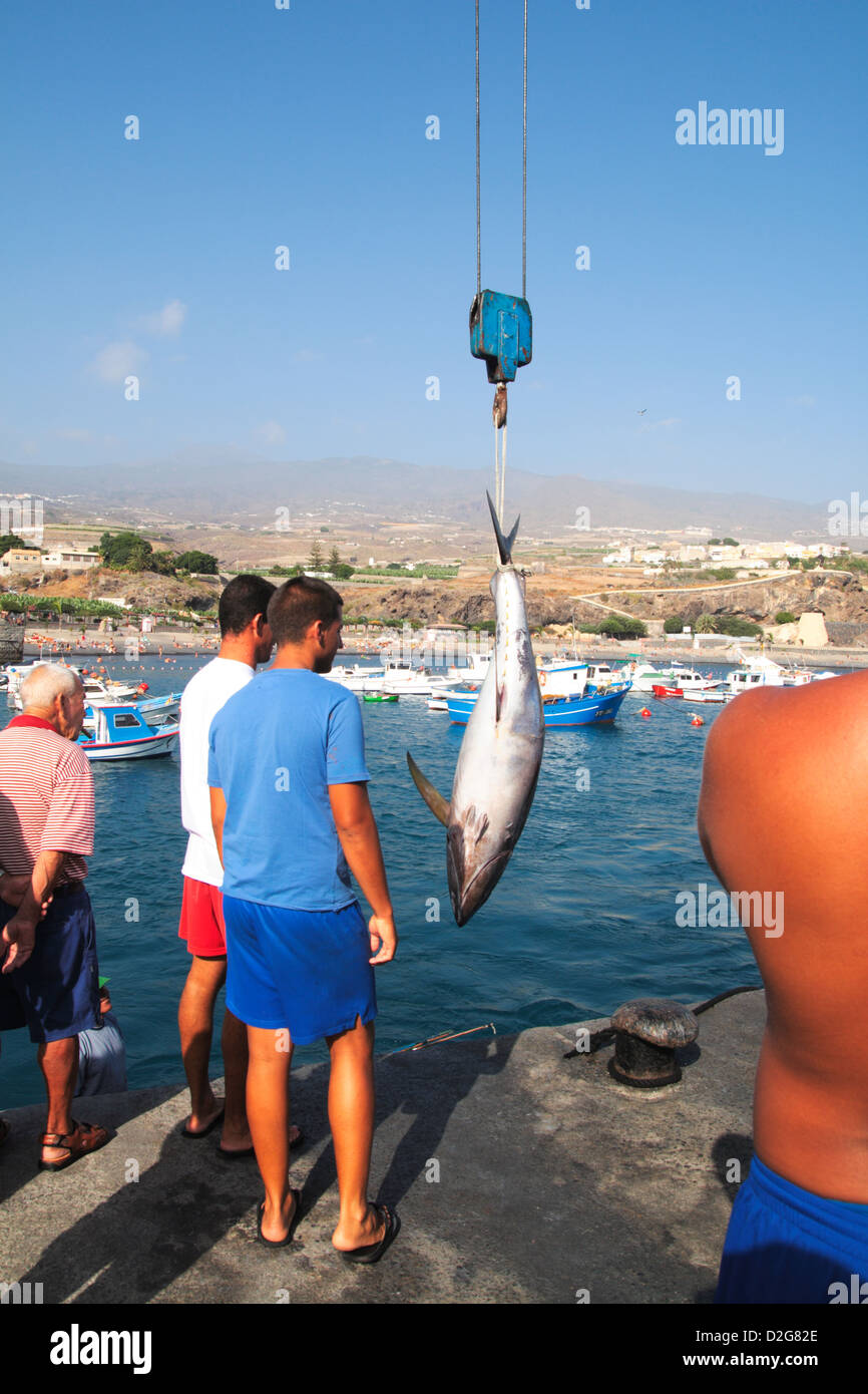 fishermen weighing fish cargo Stock Photo - Alamy