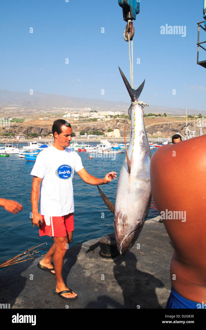 fishermen weighing fish cargo Stock Photo - Alamy