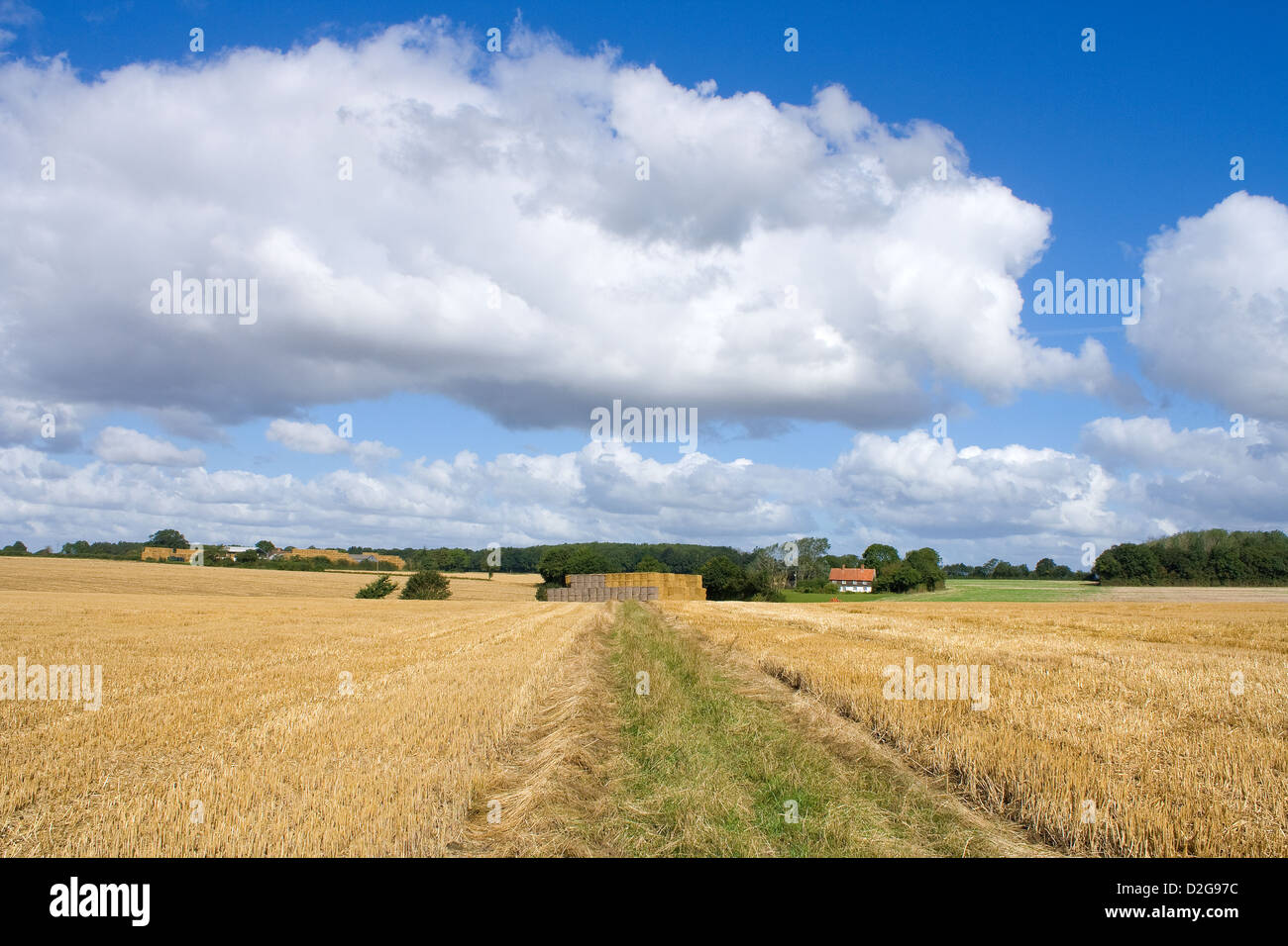 Suffolk Countryside in Summertime Stock Photo - Alamy