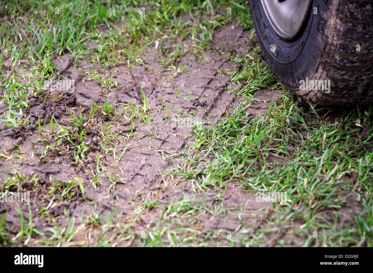 Muddy tyre tracks on grass Stock Photo - Alamy