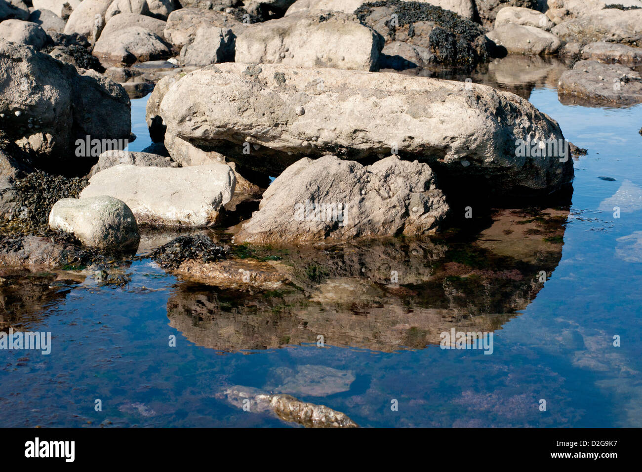 Rock pool uk hi-res stock photography and images - Alamy