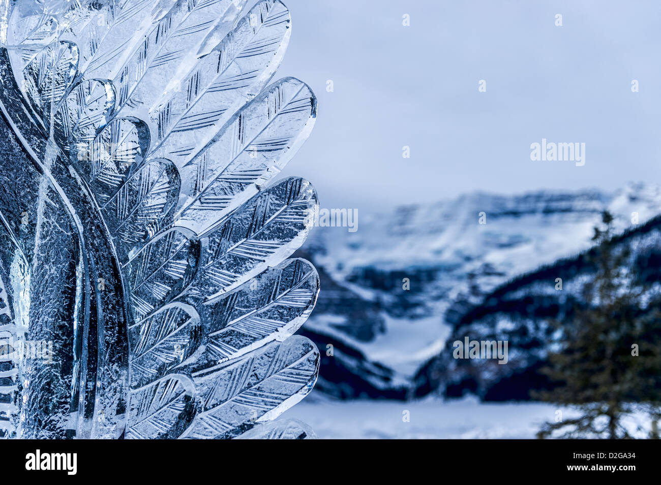 The Lake Louise Ice Magic Festival is the centerpiece of Banff National ...