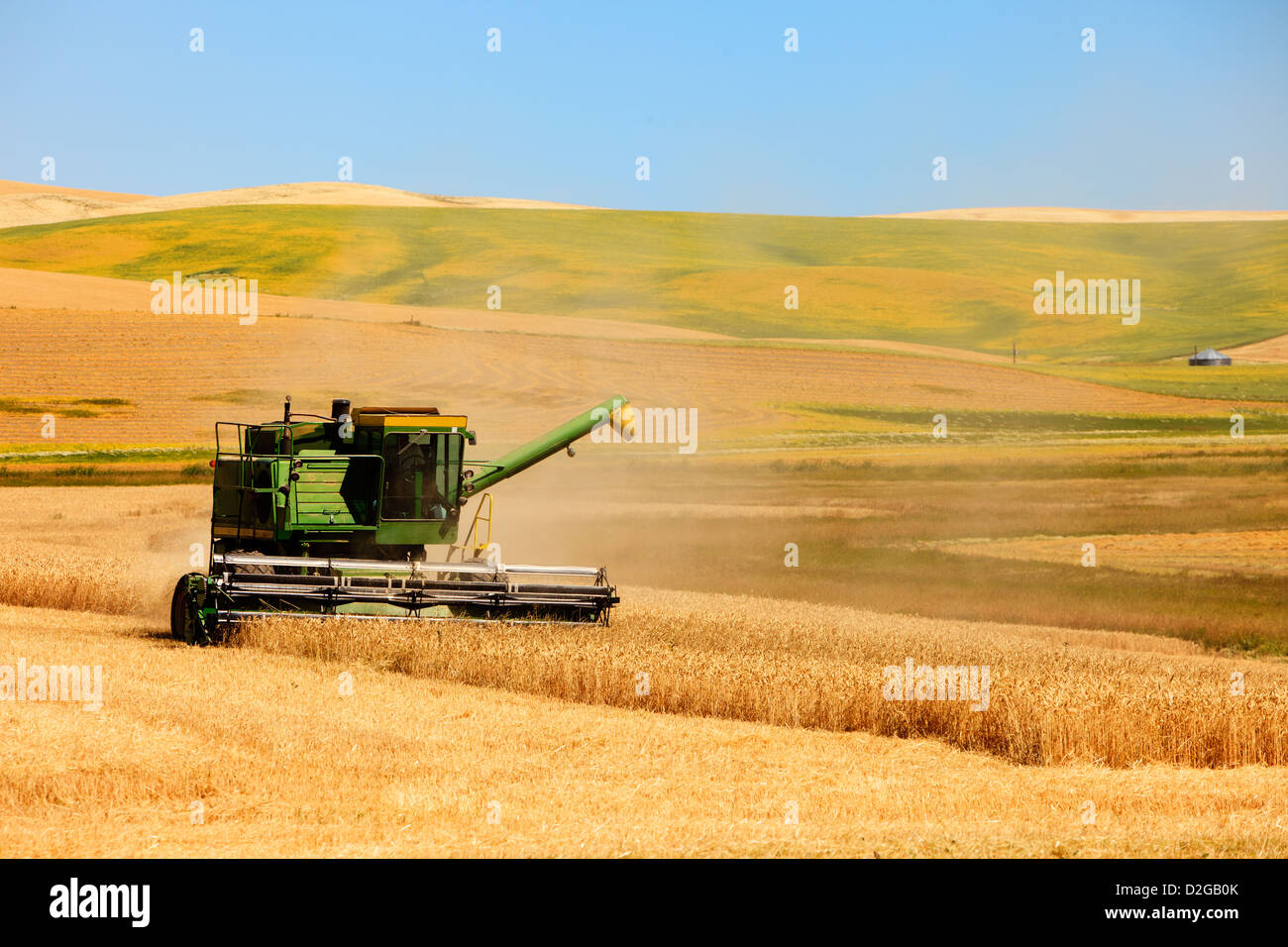 Harvesting Wheat in Palouse, Washington Stock Photo - Alamy