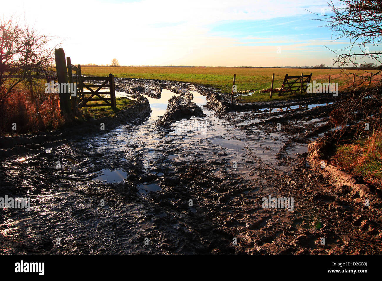 Farming, entrance muddy wet field, rural country life, wellington boots ...