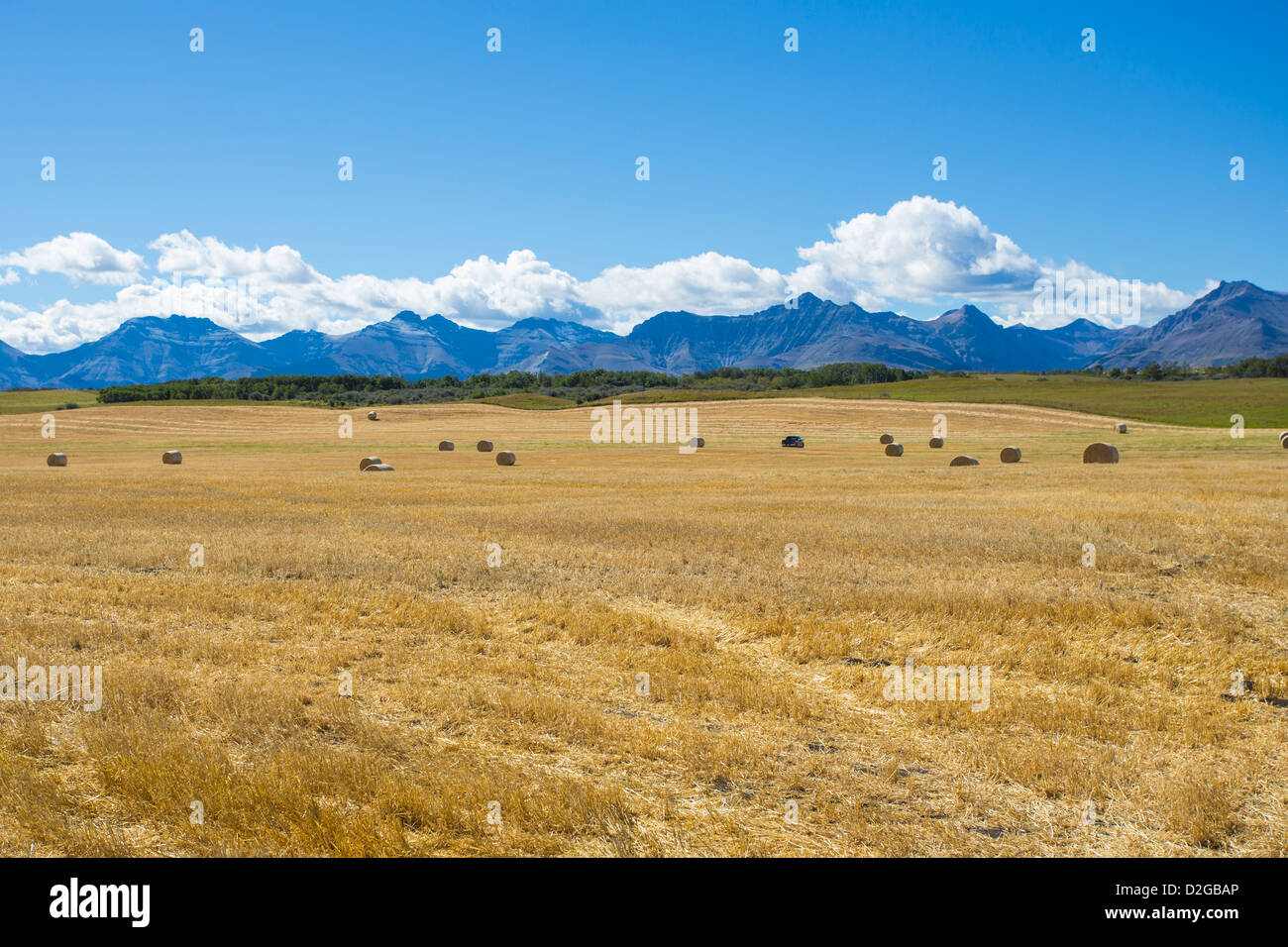 Harvested farm fields in Alberta Canada Stock Photo - Alamy