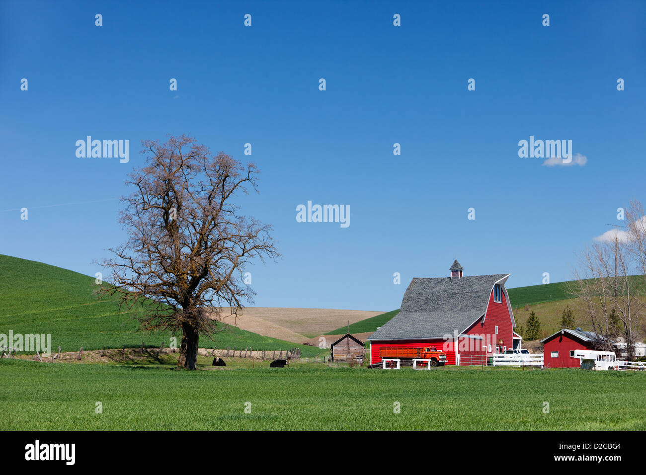 Red barn in the palouse hi-res stock photography and images - Alamy