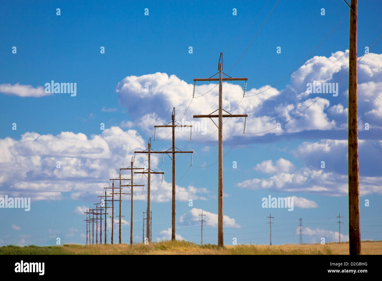 Line of electric poles on the prairie of Alberta Canada Stock Photo - Alamy