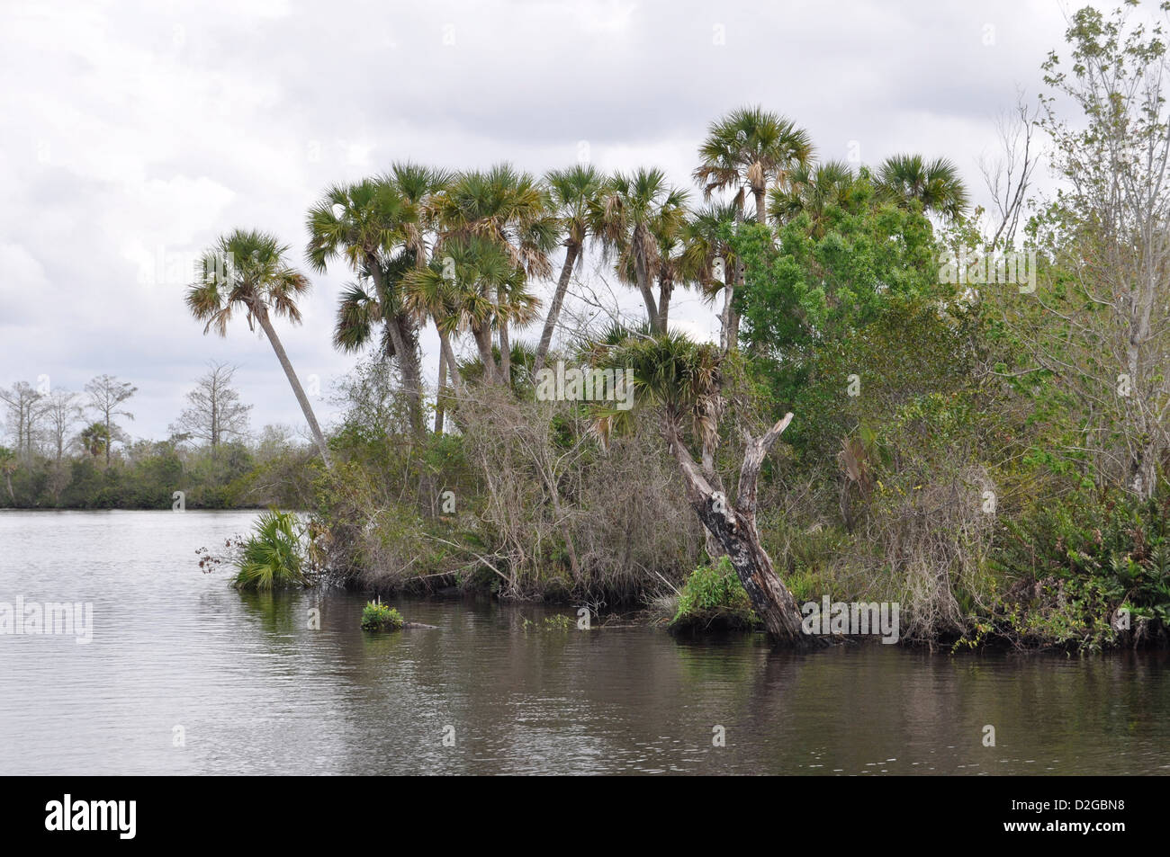 Florida river scene hi-res stock photography and images - Alamy