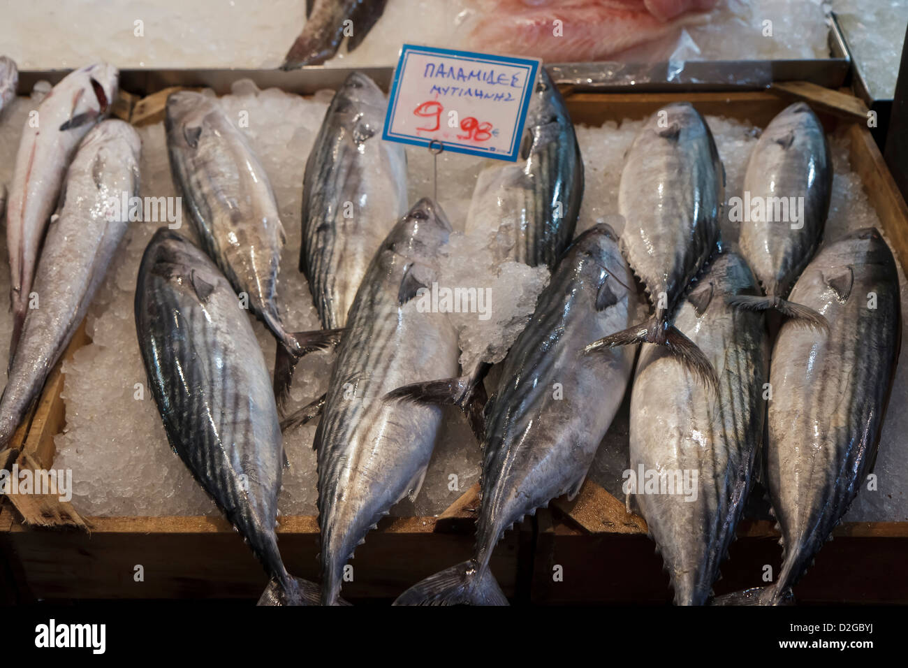 Mackerels hi-res stock photography and images - Alamy