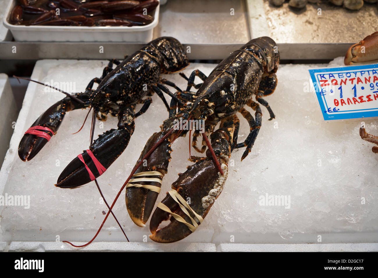 Lobsters in box hi-res stock photography and images - Alamy