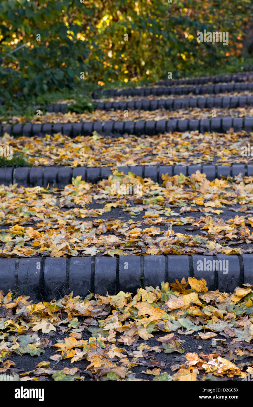 Colourful autumn leaves on steps and path in Bristol on sunny day, UK ...