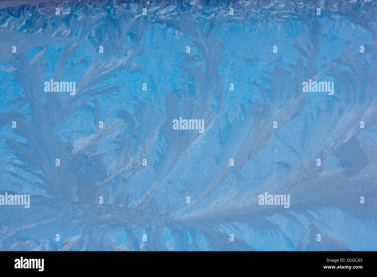 Frost texture hi-res stock photography and images - Alamy
