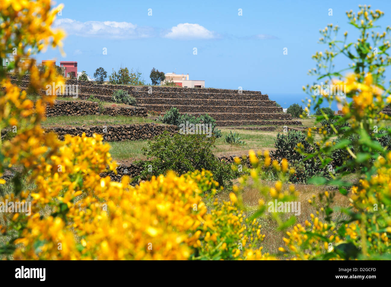 Guanche Pyramids exhibition in Güimar municipality (Tenerife island ...