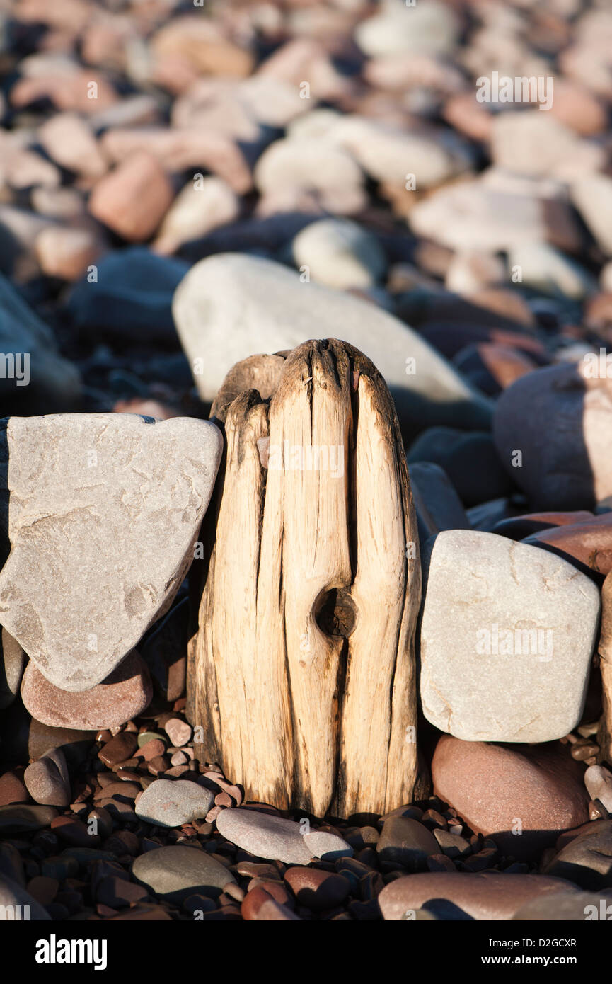 Eroded wooden groyne or breakwater on the beach at Porlock Weir ...
