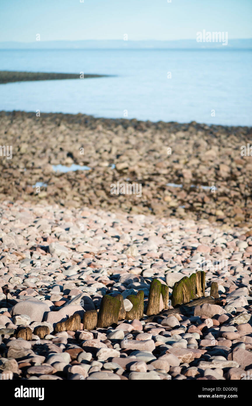 Eroded wooden groyne or breakwater on the beach at Porlock Weir ...