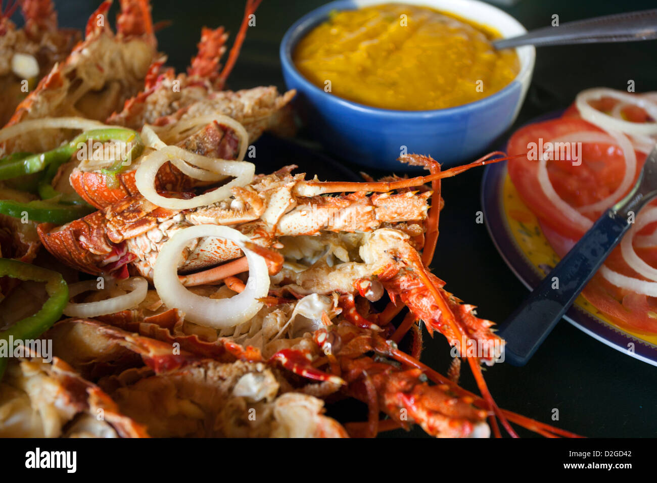 Brazilian lobster with pirao and salad Stock Photo - Alamy
