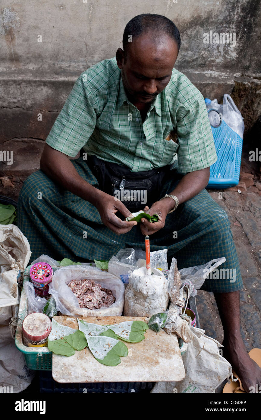 Betal leaves hi-res stock photography and images - Alamy