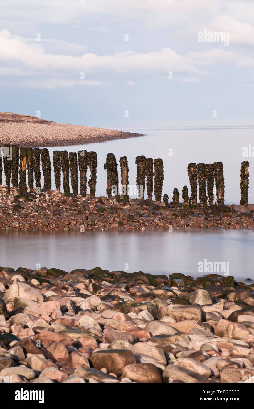 Worn wooden groyne hi-res stock photography and images - Alamy